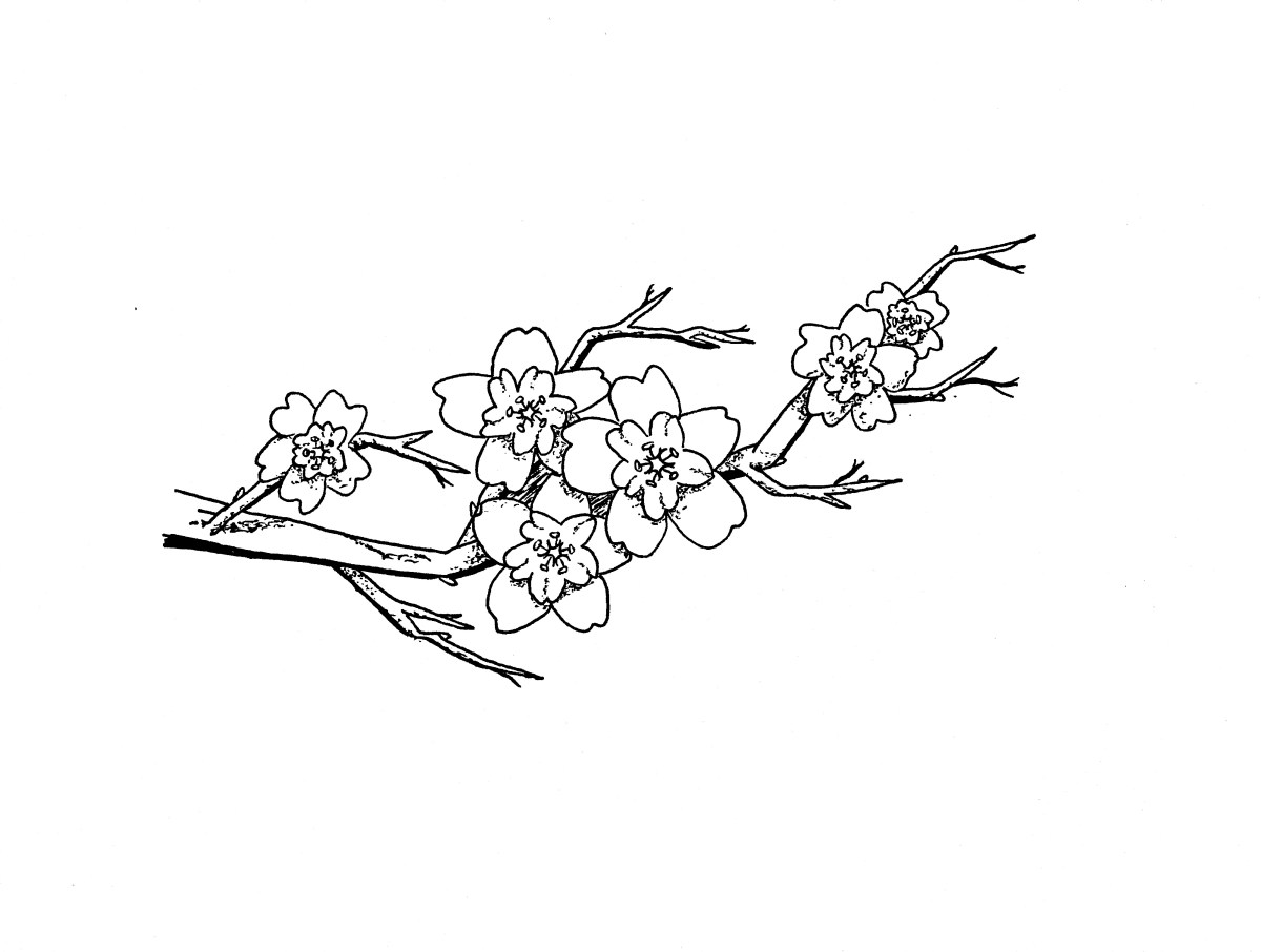 Rose Guingrich, CV – Guingrich, r. e.